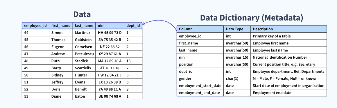 How to Create a Data Dictionary: 10 Actionable Steps